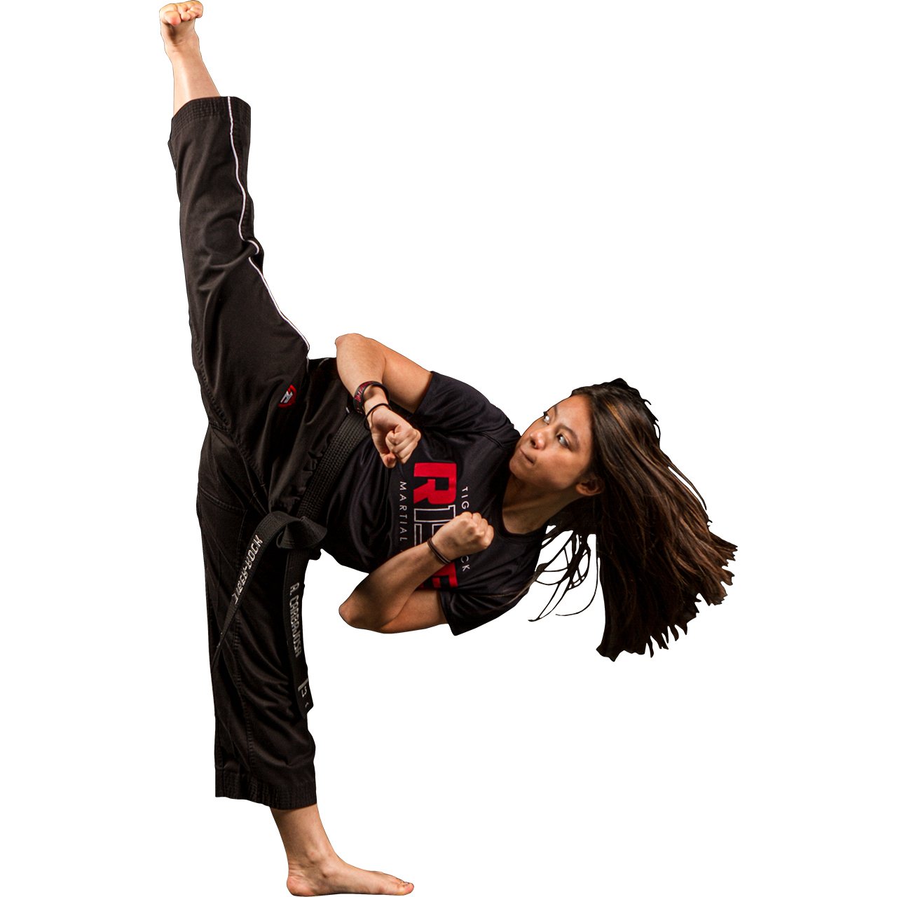 What is Taekwondo? Taekwondo Martial Arts